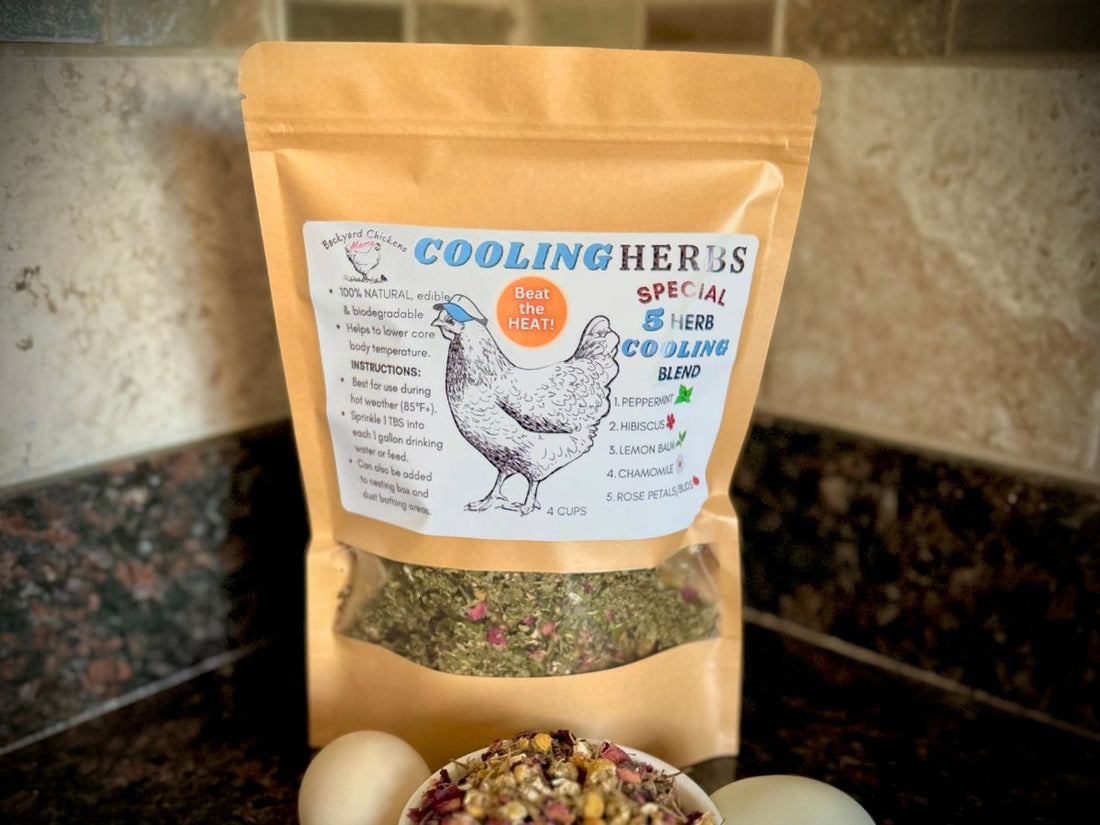Cooling Herbs for Chickens – Backyard Chickens Mama