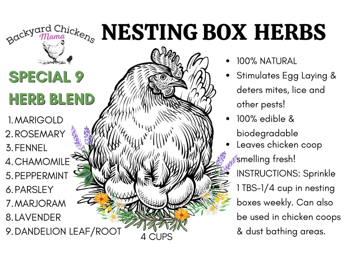 Nesting Box Herbs – Backyard Chickens Mama
